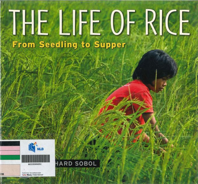 The Life of Rice: From Seedling to Supper | Rice | Themed Children’s Books