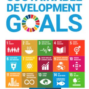 UN Sustainable Development Goals: sdg-themed books | Themed Children’s ...